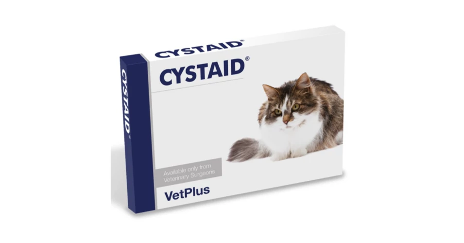 Cystaid Cat kapszula macskáknak 30db – Vese- és húgyutak | VetPlus Ltd ...
