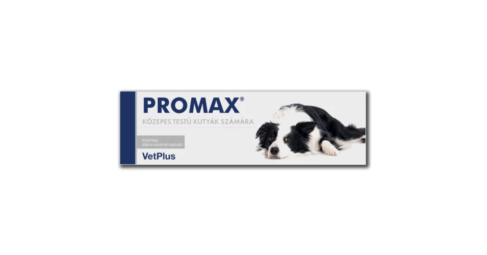 Promax Medium probiotikus paszta 18ml – Emésztési problémák | VetPlus ...